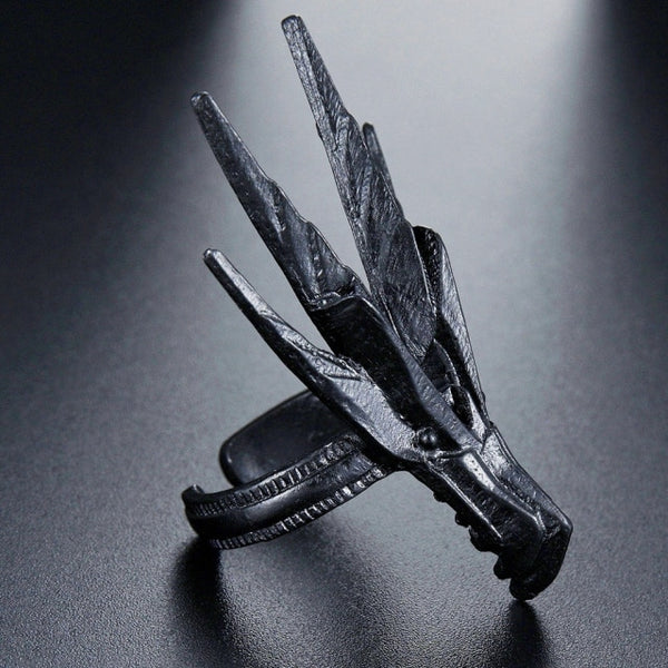 The Dragon | Helping Animals At Risk